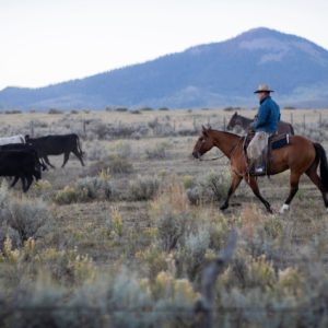 Three Forks Ranch: Luxury Colorado Ranch Resort