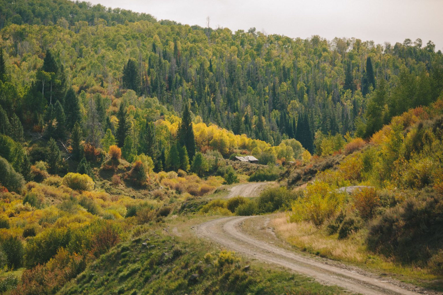 Experience the Ultimate Autumn Vacation at Three Forks Ranch