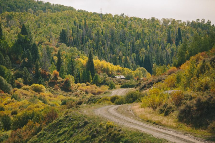 Experience the Ultimate Autumn Vacation at Three Forks Ranch