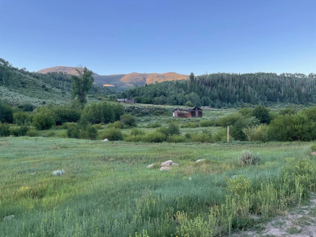 Wildlife Tours at Three Forks Ranch