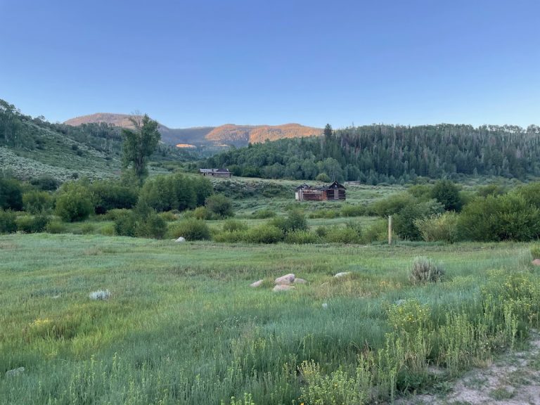 Wildlife Tours at Three Forks Ranch